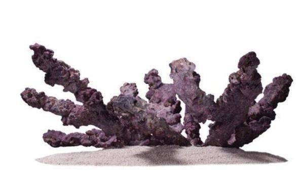 Levende Stein | Kvalitetsprodukter på nett